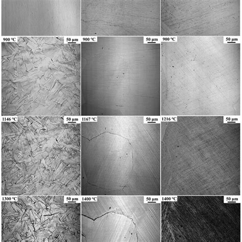 Microstructure Evolution Of Tial Alloys During The Heating Process