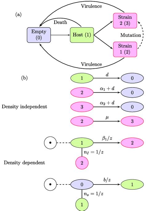 A State Transition Diagram Where Each Arrow Shows A Possible Download Scientific Diagram