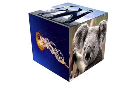 China Transparent Led Display Customized LED Factory Transparent Led Display Customized LED