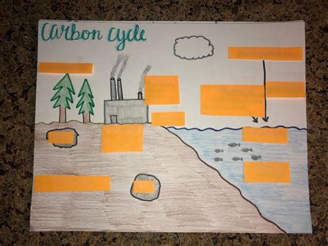 Carbon Model Project