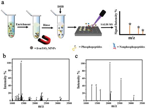 A Schematic Illustration Of Enrichment And Detection Of Download