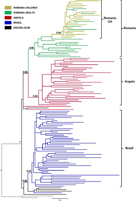 Maximum Likelihood Tree Of The Pol Gene Of Hiv 1 Subtype F1 Strains