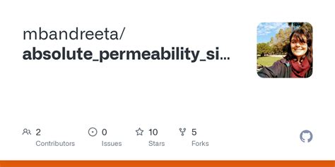 Absolute Permeability Simulations Permeability PoreSpy OpenPNM Ipynb At Main Mbandreeta