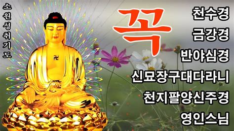 광명진언光明眞言 1000독 🙏 행운과 건강을 부르는 놀라운 불가 🙏 이 진언을 외우면 부처님의 광명을 얻어 모든 업보와 죄보가 소멸될 것이다 Youtube