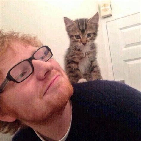 Ed Sheeran Ed Sheeran Cat Lovers National Cat Day