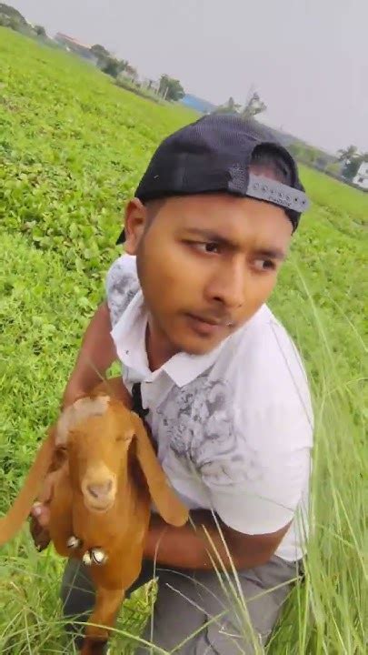 বন্ধুর ছাগল চুরি করে পার্টি ভাইরাল Funny ভাইরাল Funny Funny Comedyfilms ভাইরাল ভিডিও