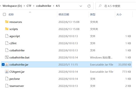 Cobalt Strike 45 Cracked 正汰的学习笔记