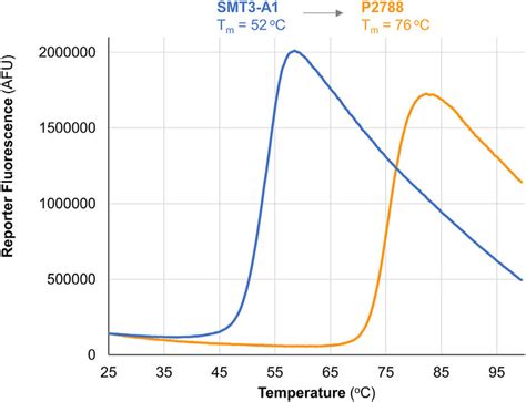 Differential Scanning Fluorimetry Analysis Of Smt3 A1 Nc A Class And