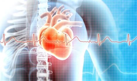 Vasodilator Pros And Cons Of Different Vasodilators What Your Need To