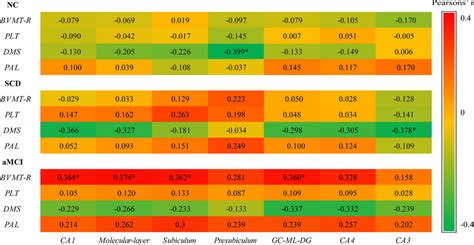 The Partial Correlation Heatmap Between Relative Hippocampal Subfield