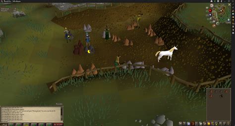 osrs yolo object detection dataset v5 2024 04 02 8 21am by osrsyolo