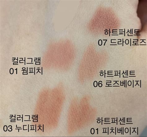 가을뮤트 립라이너 비교컬러그램하트퍼센트 손등발색 인스티즈instiz 뷰티 카테고리