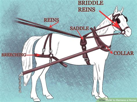 Parts Of A Harness Types Of Full Body Harness Jlheid