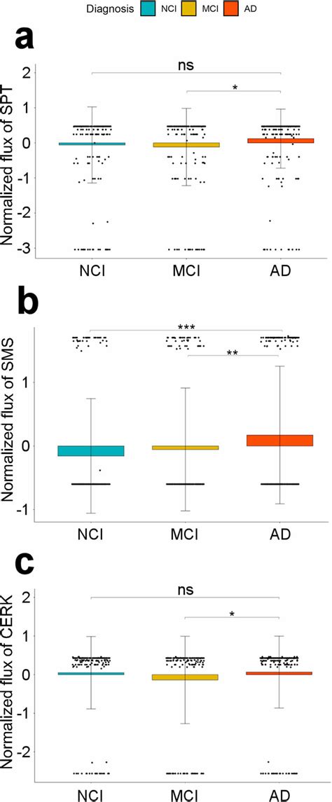 In Silico Flux Analysis For Metabolic Reactions In The Sphingolipid