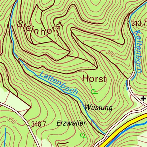 Baumholder 125000 Map By Landesamt Fur Vermessung Und