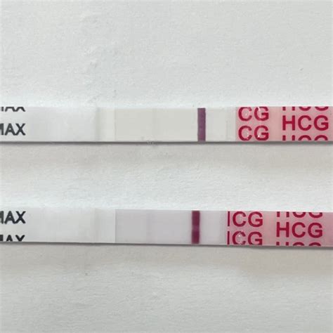 난임일기11 화학적유산 후 첫 배란 임신초기증상 다낭성 나팔관 한쪽 막힘 네이버 블로그