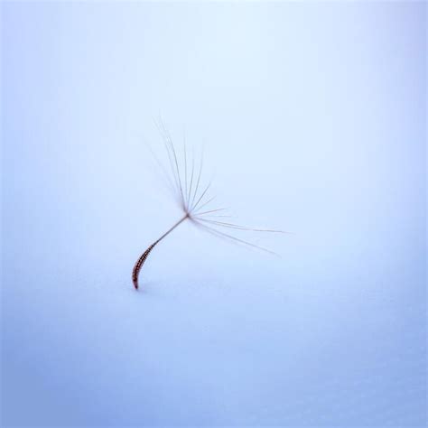 Hans Willert On Linkedin Global Economics Intelligence Executive Summary July 2024