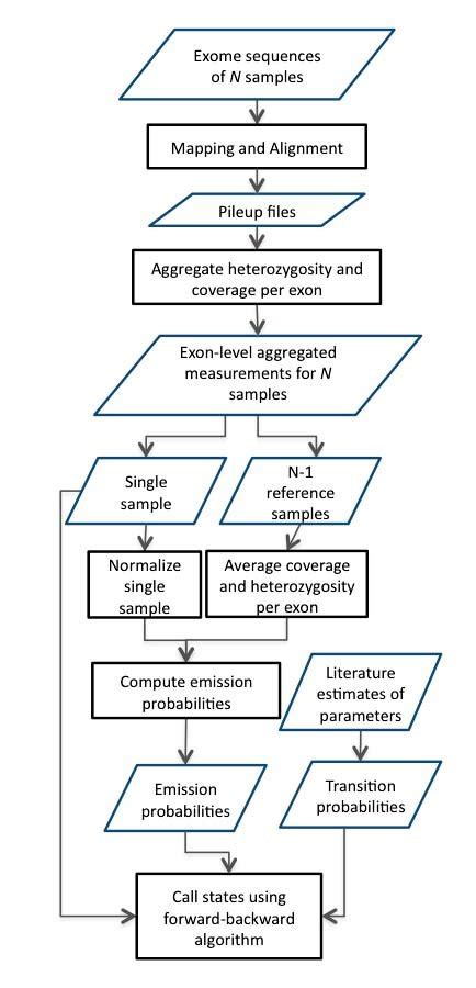 Flowchart Outlining The Procedure Of Calling Cnvs From Exome Sequence Download Scientific