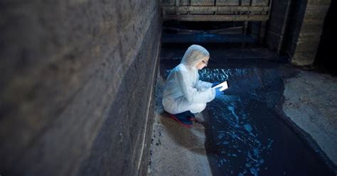 Las Pruebas De Aguas Residuales De Ee Uu Detectan Una Variante De