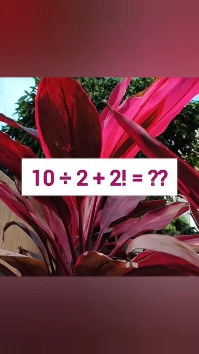 90failed Maths Challenge Question 🙋 Flowers Braintestsolution Mathfunction Shortfeed Love