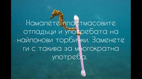 Замърсяването на околната среда и бездомните животни Youtube