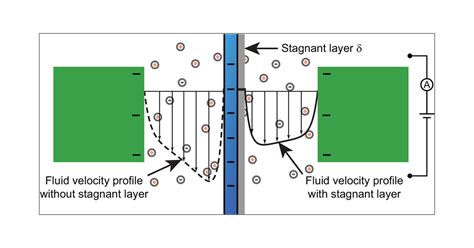 Nanopore Measurements Of Filamentous Viruses Reveal A Sub Nanometer Scale Stagnant Fluid Layer
