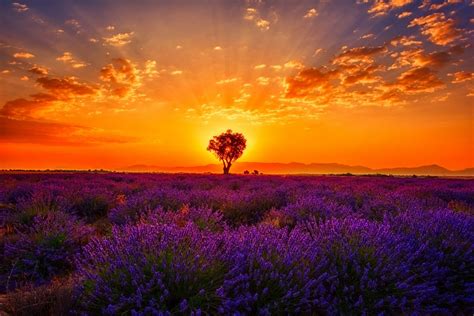 Découvrez Les 20 Plus Beaux Couchers De Soleil Autour Du Monde