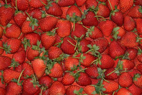 Luscious Images Browse Stock Photos Vectors And Video Adobe Stock