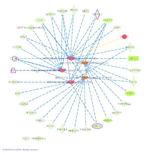 Upstream Analysis Network Interactions Between The Five Top Download Scientific Diagram