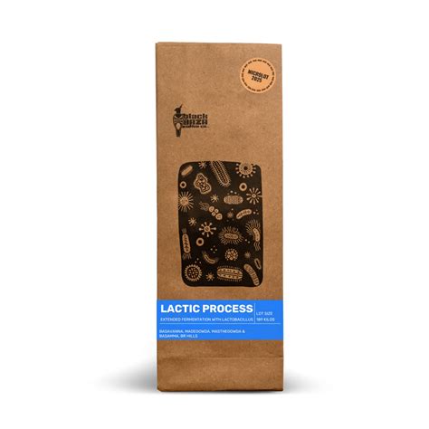 Lactic Process Coffee Unique Fermentation Flavour Black Baza Coffee