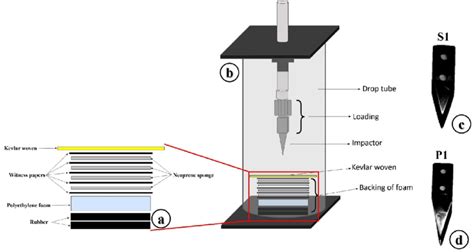 Blades D P1 And C S1 And A Backing Foam Scheme Used In B Drop Download Scientific