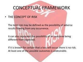 Conceptual Framework And Risk Management PPTX