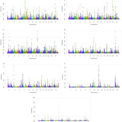 Additive Genetic Variance Explained By Windows Of 10 Adjacent Snp