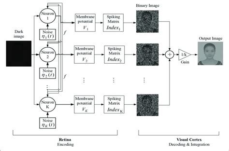 Schematic Diagram Of The Dark Image Enhancement Algorithm Based On