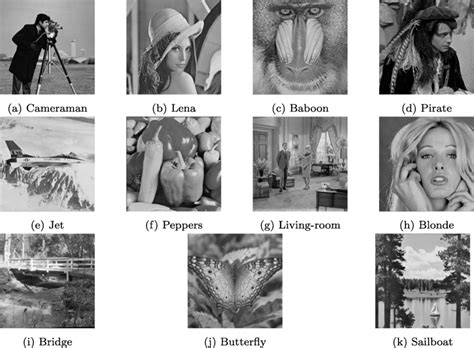 Representative Images From The Berkeley Dataset Download Scientific Diagram