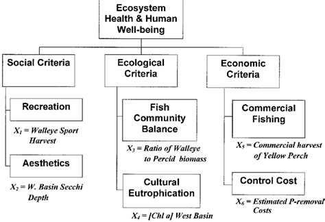 Example Of Fundamental Objectives Hierarchy And Attributes X J For Download Scientific