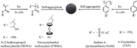 Photoinitiated Free Radical Polymerization Of Various Monomers And Download Scientific Diagram