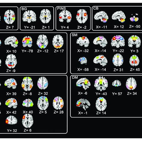 Spatial Distributions Of Non Artificial Intrinsic Connectivity