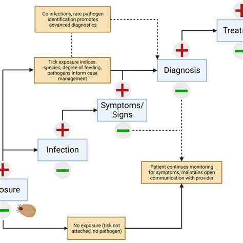 Algorithm Integrating Pathogen Testing Of Human Biting Ticks With The
