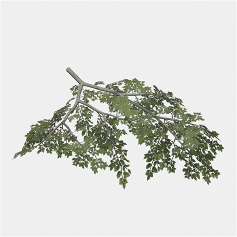 3d Model Rigged Tree Branch Types Turbosquid 1397320