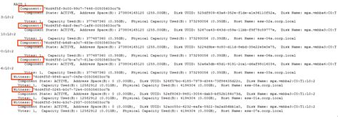 Is There Always Just One Witness Component For A Vsan Object With