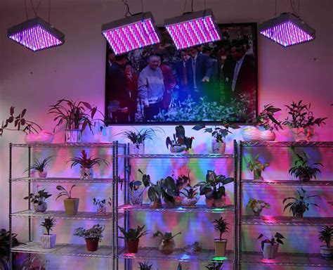 Led Grow Light Zf112 225 Grow Light And Plant Light Price