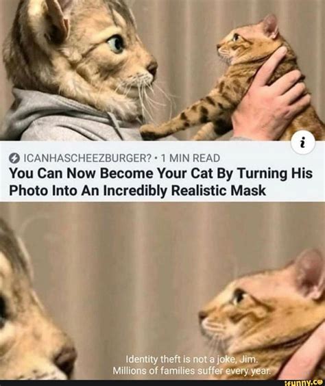 Hilarious Collection Of Cat Memes That Will Make You And Your Cat Laugh