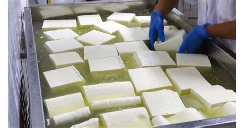 След проверките БАБХ санкционира производители на сирене менте