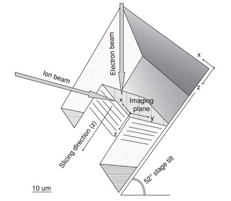 22 Schematic Of Sample Geometry For Serial Sectioning In A Fib Sem