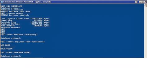 Oracle Dba User Guide User Managed Backups Hot Backup