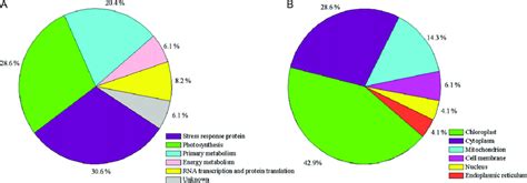 Functional Classification A And Subcellular Localization B Of 49