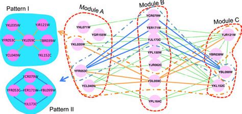 A Subnetwork With Sparsely Connected Modules Detected By Sgpg Module A Download Scientific