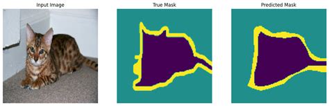 Semantic Segmentation With Model Garden Tensorflow Core