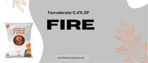 Powder Fenvalerate 0 4 Dp Insecticide At Best Price In Rajkot Id 2853431030797